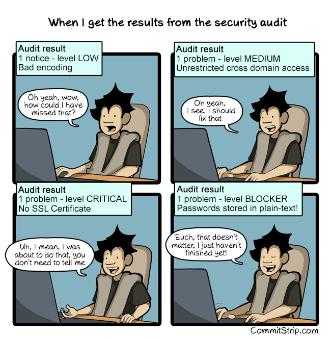 When I get the results from the security audit | CommitStrip