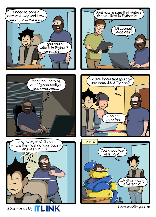 Python, What Else ? | CommitStrip